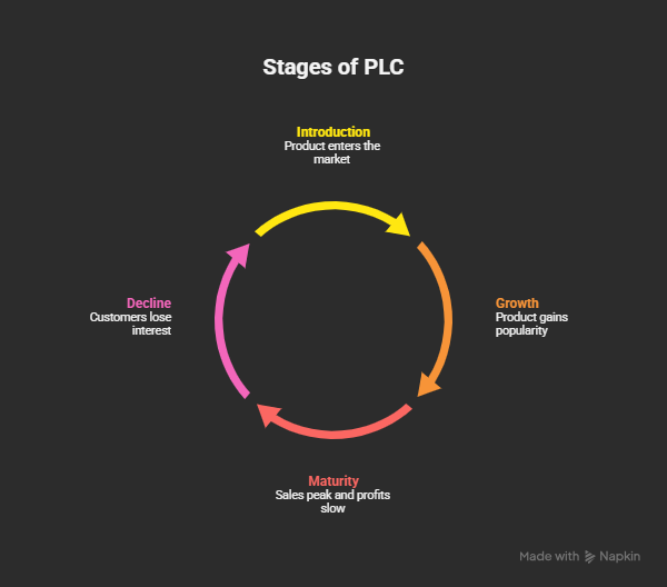 What is PLC in Marketing? Importance, Stages and Strategies
